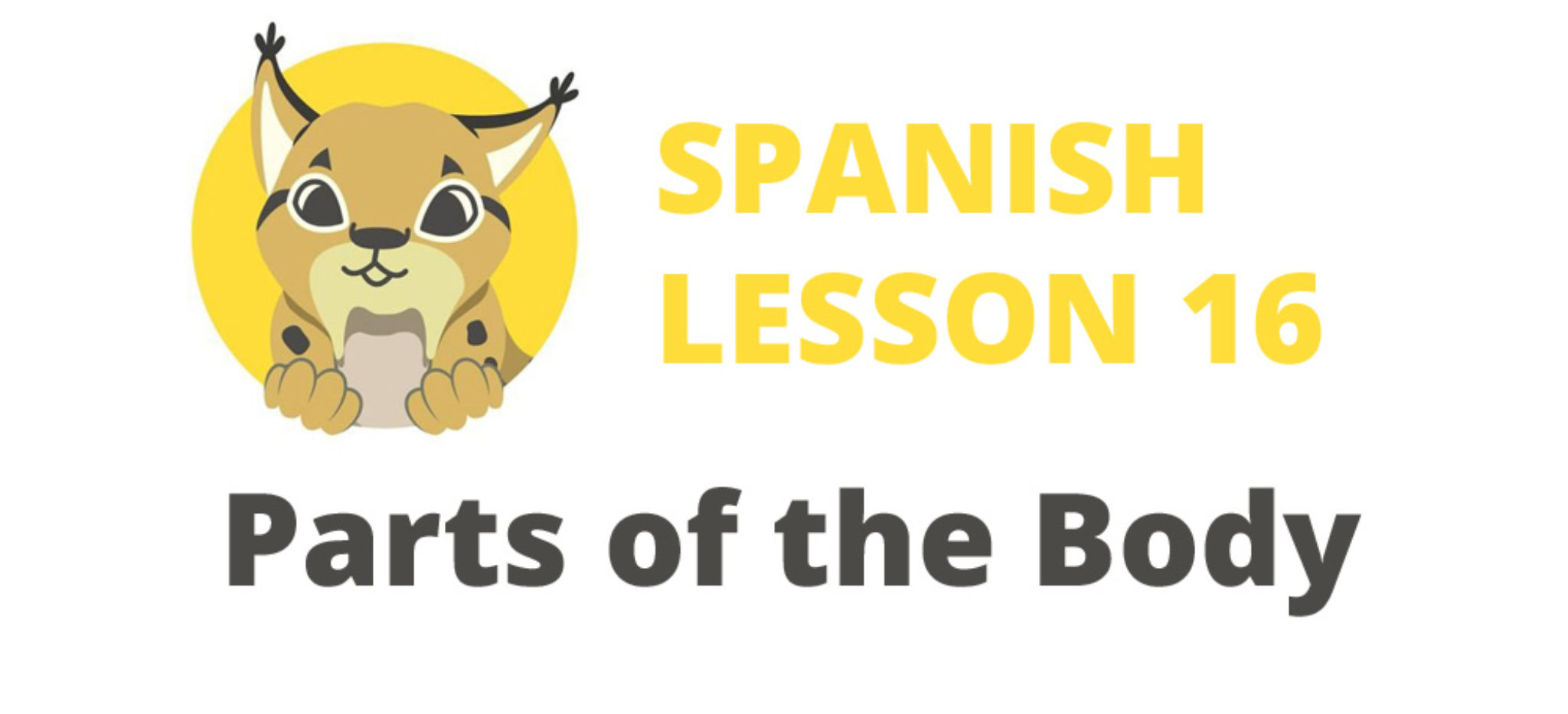 Parts of the Body in Spanish: Spanish Lesson 16 - Go! Go! España