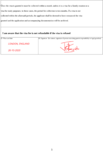 How to fill in the Application for National Visa Form Spain | Go! Go ...