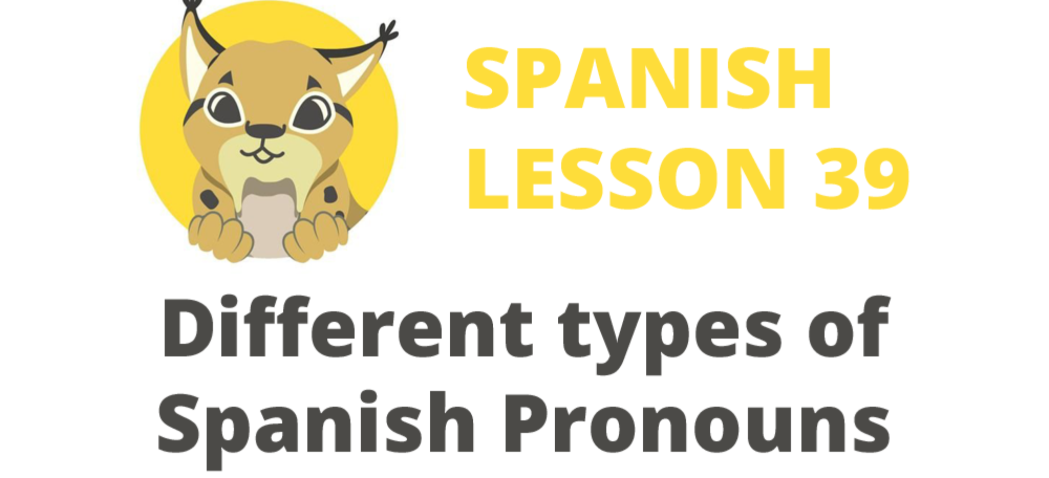 Different types of Spanish Pronouns: Spanish Lesson 39 - Go! Go! España