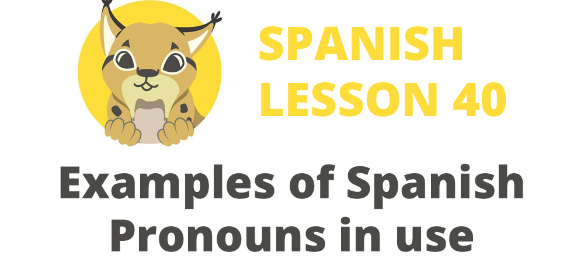 Examples of Spanish Pronouns in use: Spanish Lesson 40