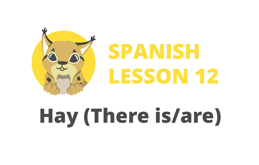 Hay There is There are: Spanish Lesson 12 | Go! Go! España