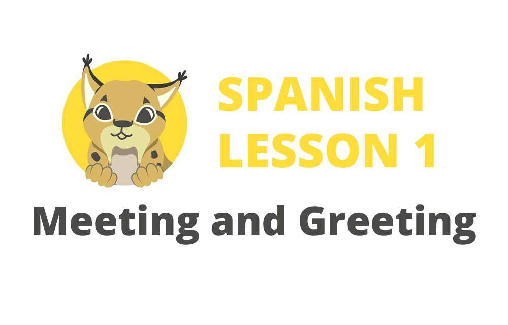 Meeting and Greeting in Spanish: Spanish Lesson 1 | Go! Go! España