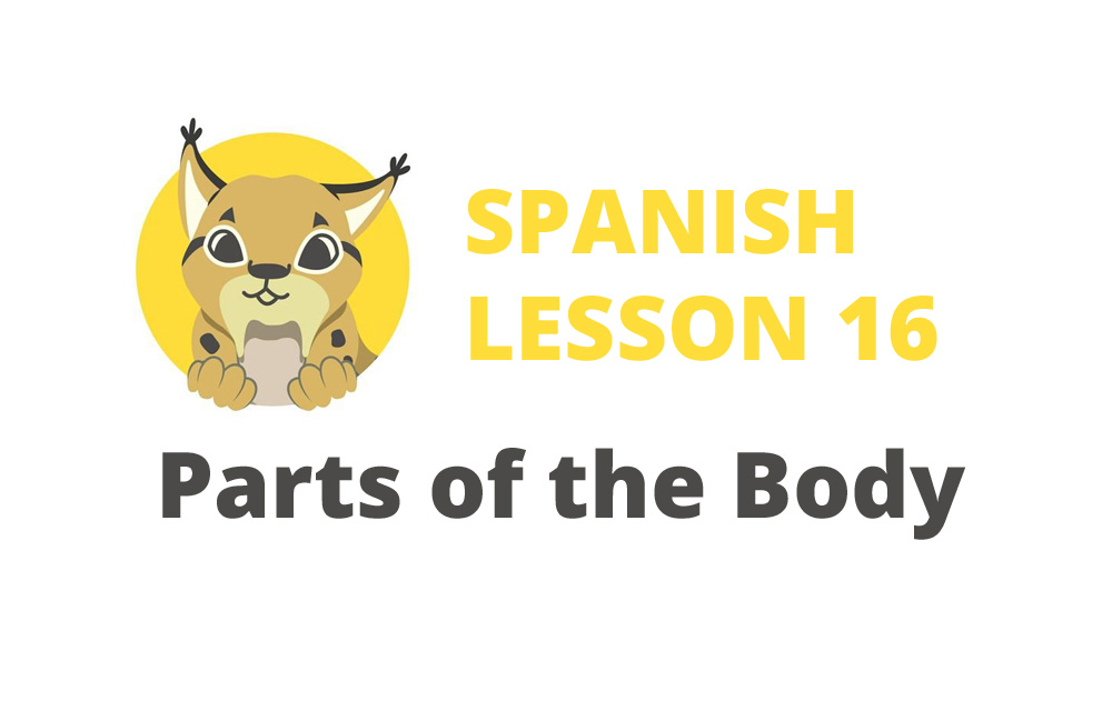 Parts of the Body in Spanish: Spanish Lesson 16 | Go! Go! España